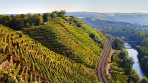 Top 10 World's Most Beautiful Vineyards